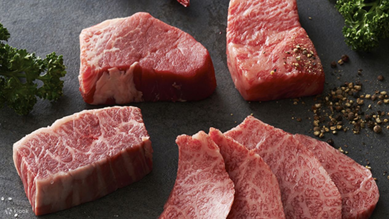 Yakiniku Toraji Param, Shiodome - Klook United States