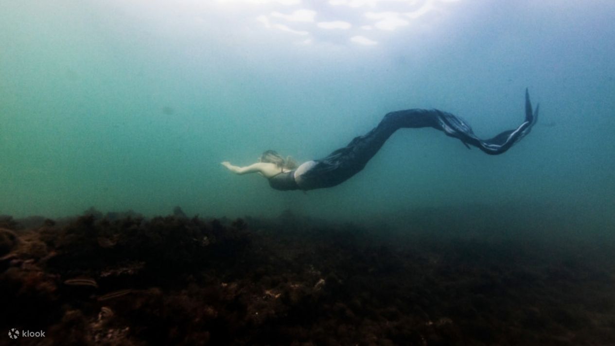Mermaid Diving Adventure Guided by Haenyeo in Jeju - Klook United States