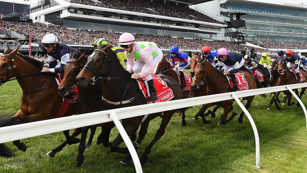 Melbourne Cup AAMI Victoria Derby Day Ticket in Melbourne, Australia ...