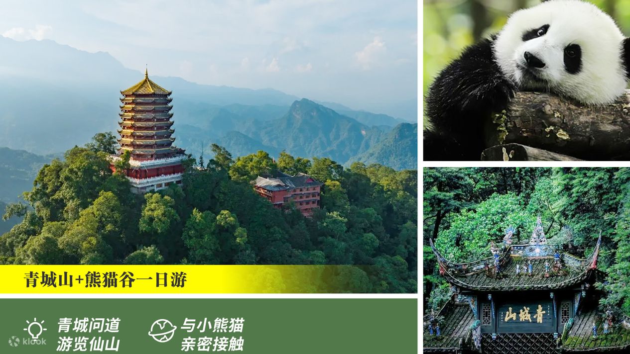 Sichuan Chengdu Qingcheng Mountain + Dujiangyan Panda Valley One-day ...