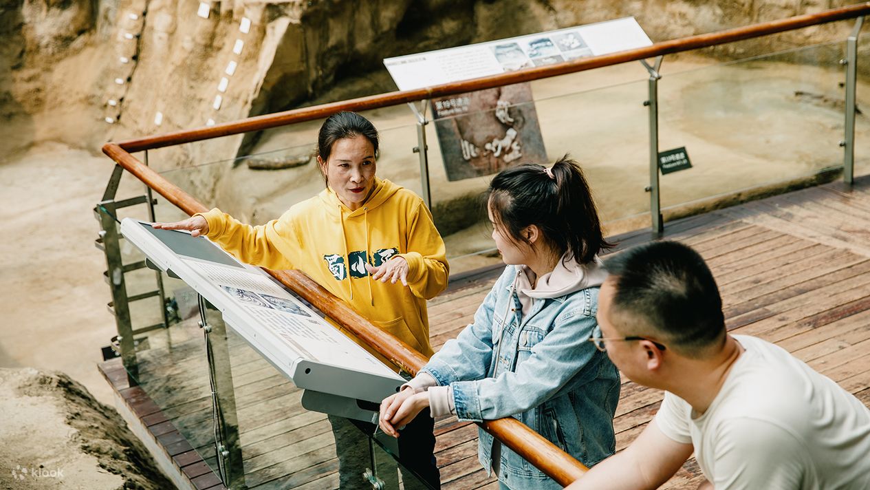 Half-day tour of Jinsha Ruins Museum (including tickets + tour guide ...