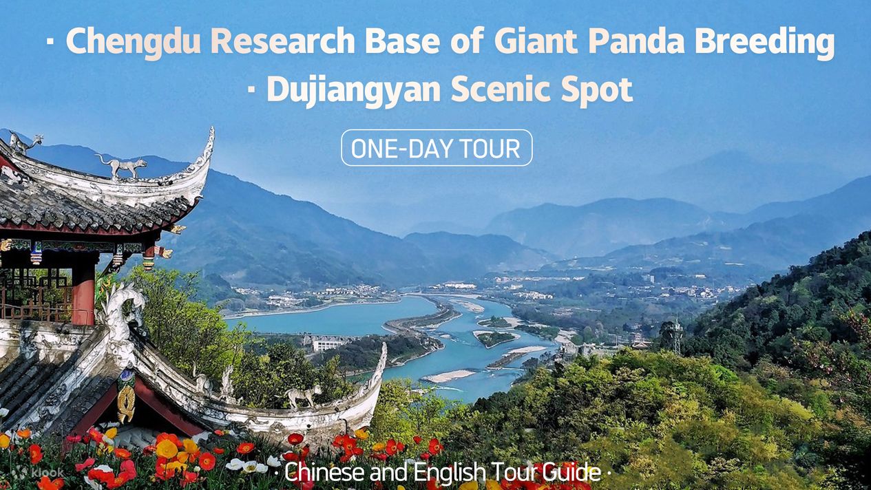 One-day tour to Chengdu Research Base of Giant Panda Breeding from ...
