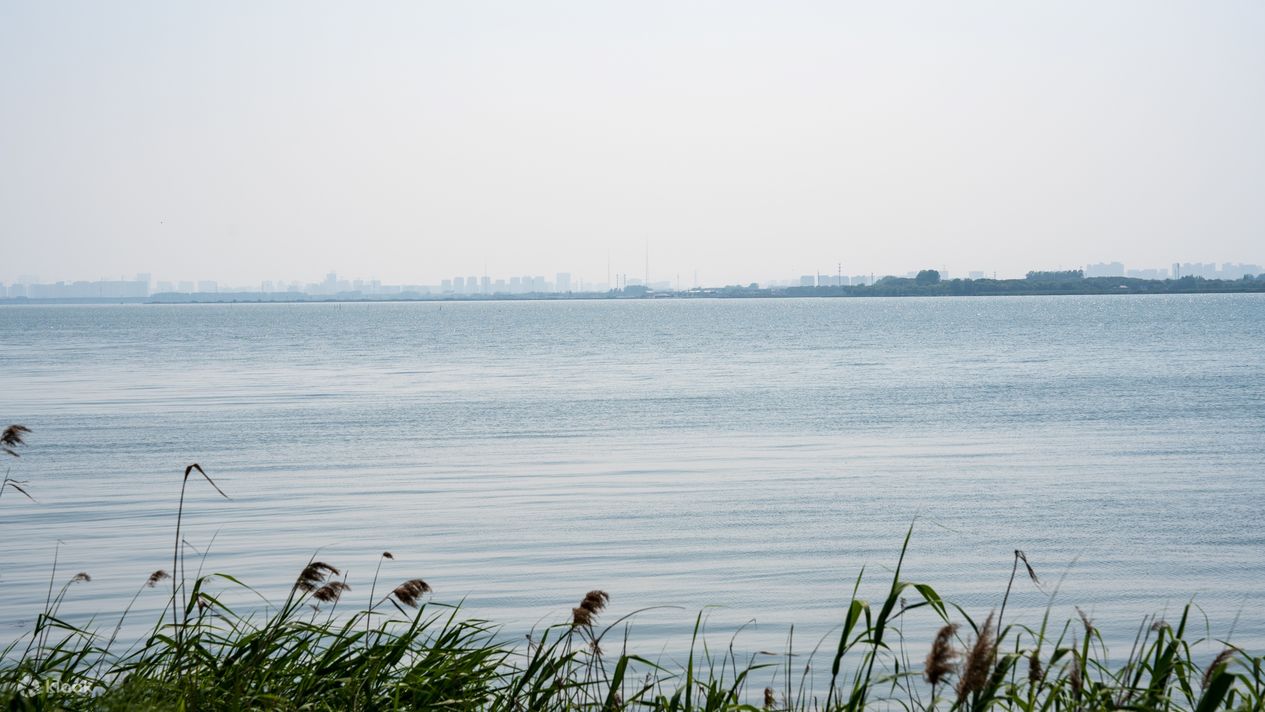 Yangcheng Lake Beauty Legs Scenic Area & Chongyuan Temple & Huayi ...