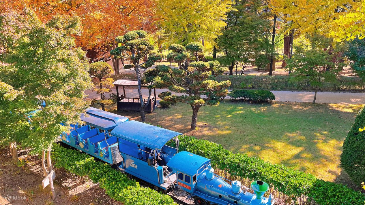Nami Island Customizable Private Day Tour from Seoul - Klook Canada