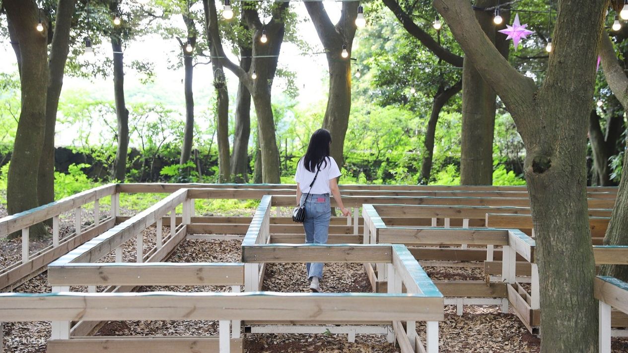 Maze Land in Jeju - Klook