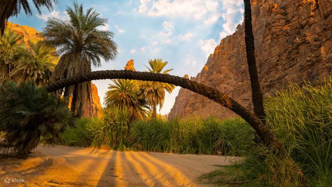 Exploring the Wonders of Al-Disah Valley - Klook Australia