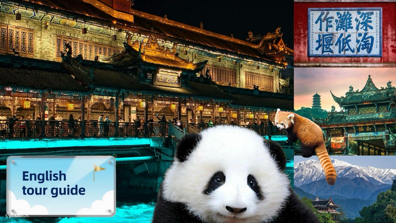 Sichuan Chengdu Giant Panda Park + Dujiangyan 1-day tour (English in ...