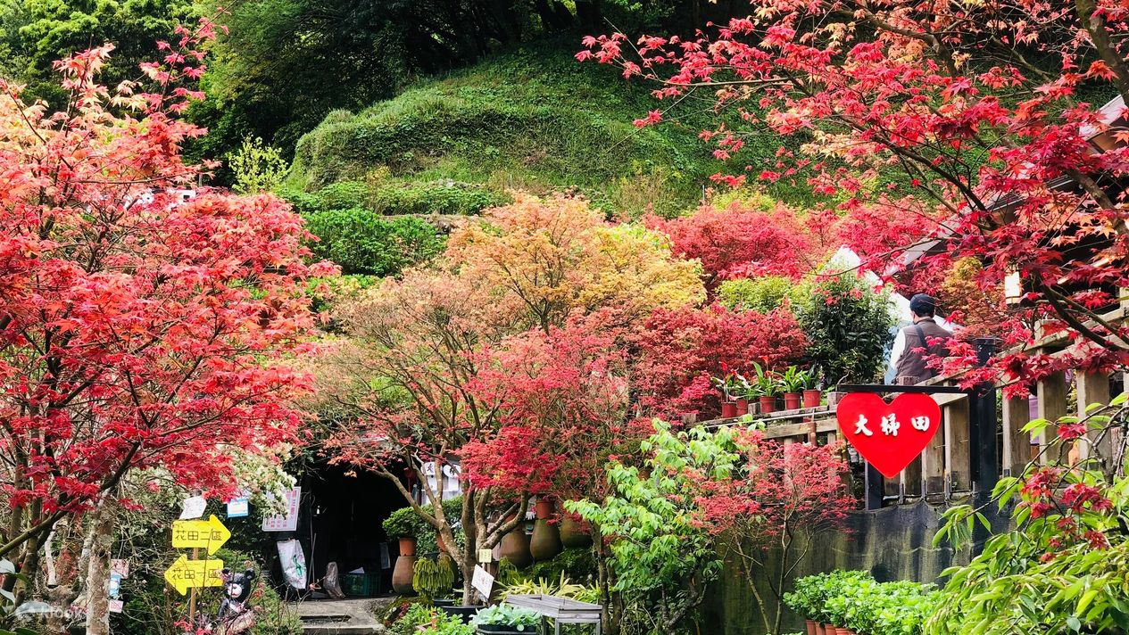Taipei Terraced Fields Flower Ecological Farm Ticket｜Hydrangea｜Spring ...