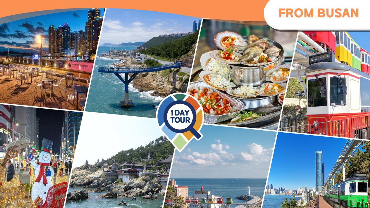 Busan Must-visit 1 Day Tour : Blue line Sky Capsule & Beach Train - Klook