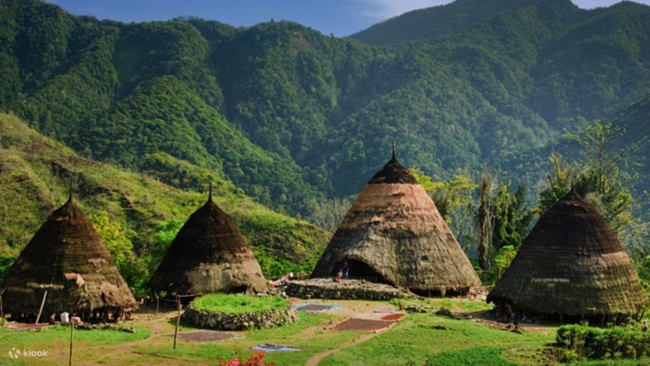 2D1N Exotic Waerebo Village Tour from Labuan Bajo - Klook