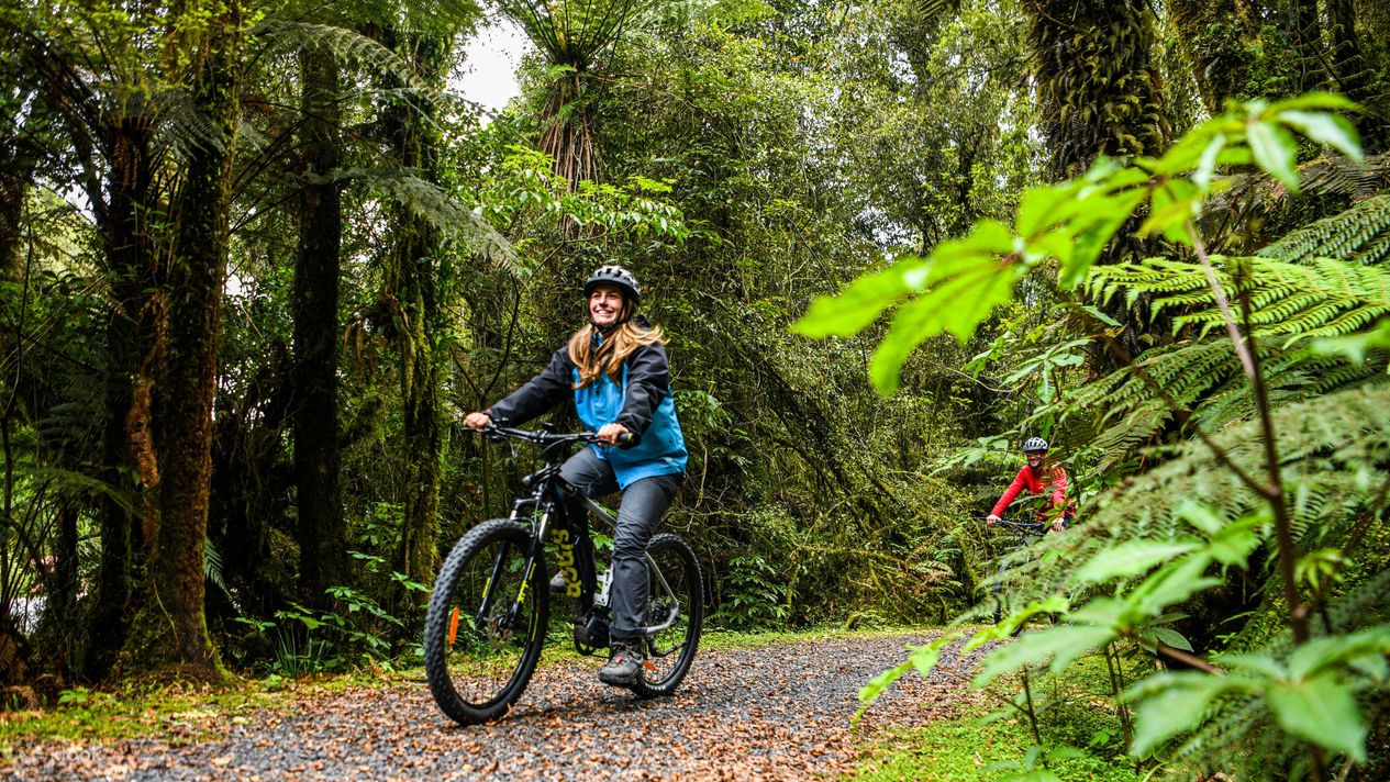 Fox Glacier Valley E-Bike and Hike Ticket in Fox Glacier Valley - Klook