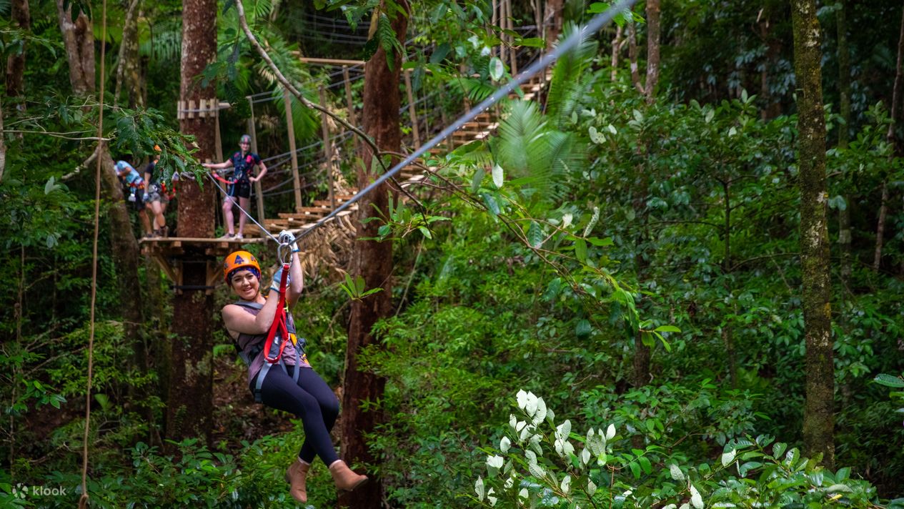 Ziplining in Canopy Tour Daintree Rainforest - Klook Philippines