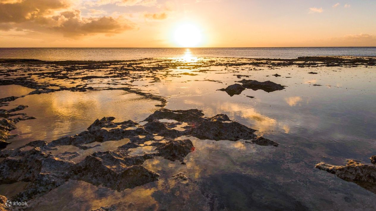 Oahu North Shore Country Sunset Tour in Hawaii - Klook Россия