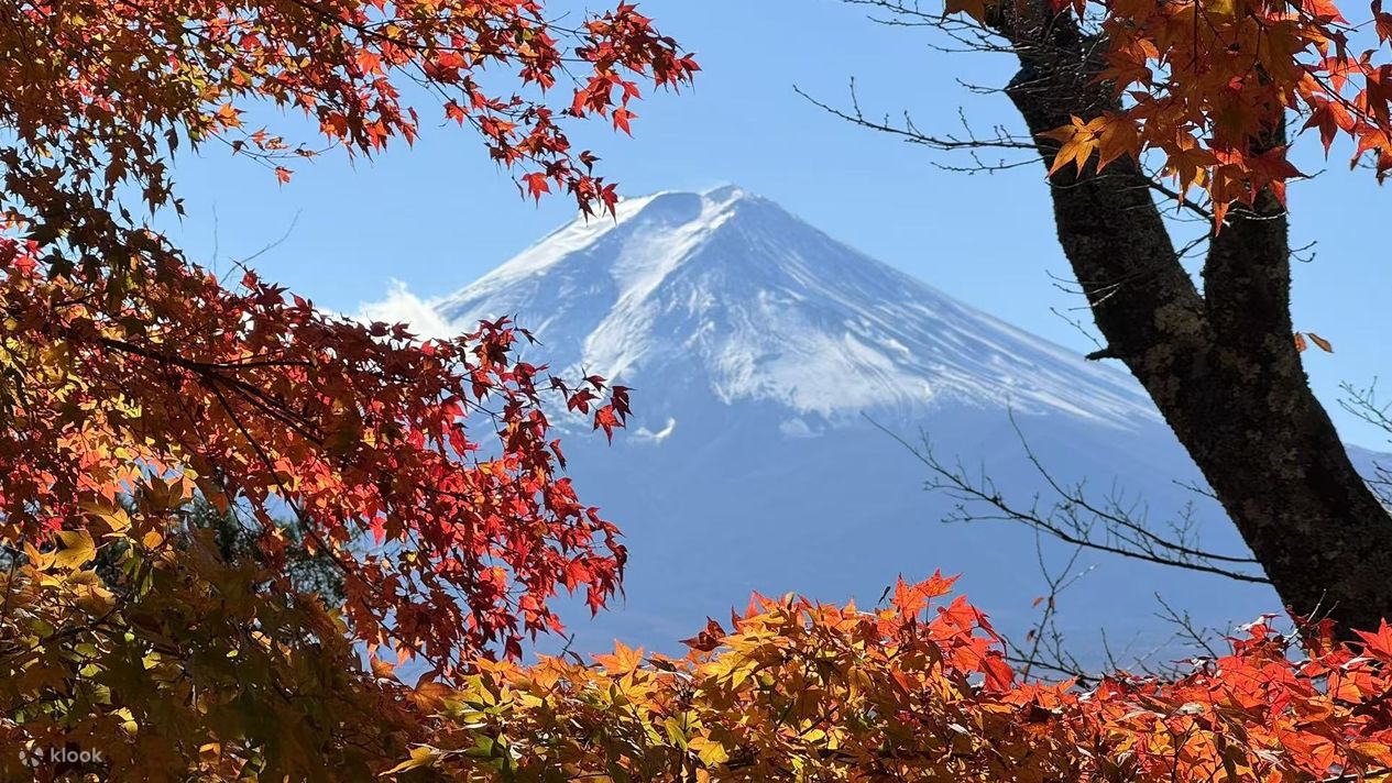 Sengen Park, Hikawa Watch Shop, Oshino Hakkai, and Lake Kawaguchi Day ...