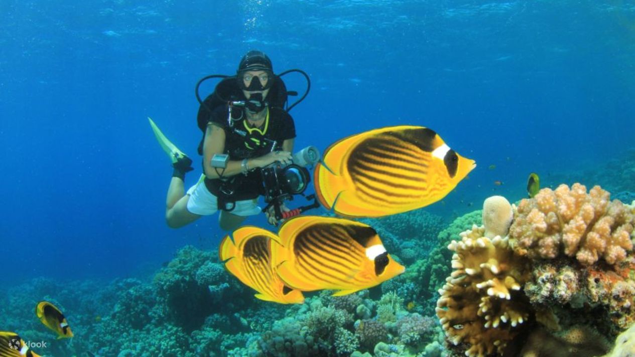 Dive into the Wonders of the Red Sea: Hurghada Intro Diving ...