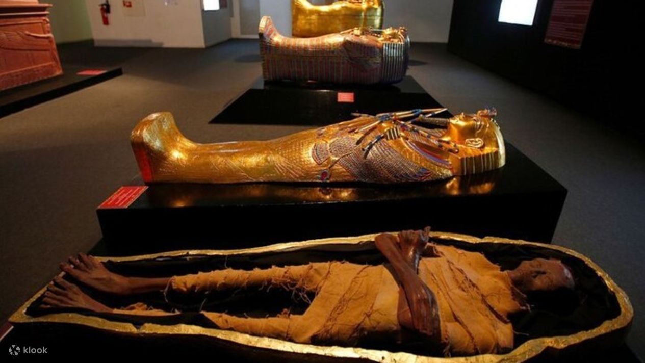 Private Tour of Museum of Luxor and Mummification Museum - Klook United ...