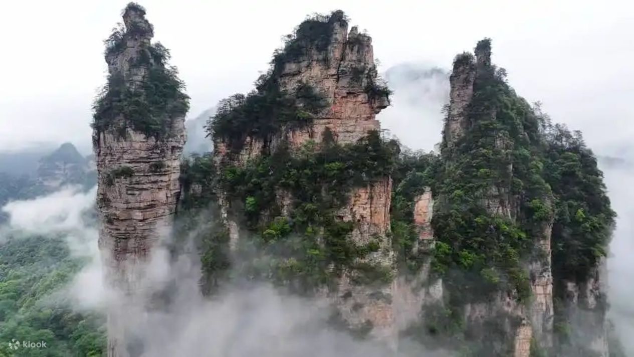 Zhangjiajie National Forest Park Avatar Hanging Mountain Private Guided ...