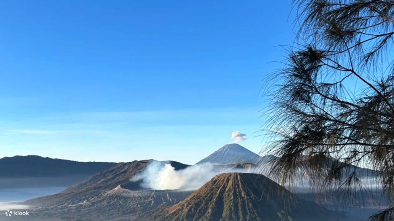 Bromo Sunrise & Madakaripura Waterfall Depart from Surabaya - Klook ...