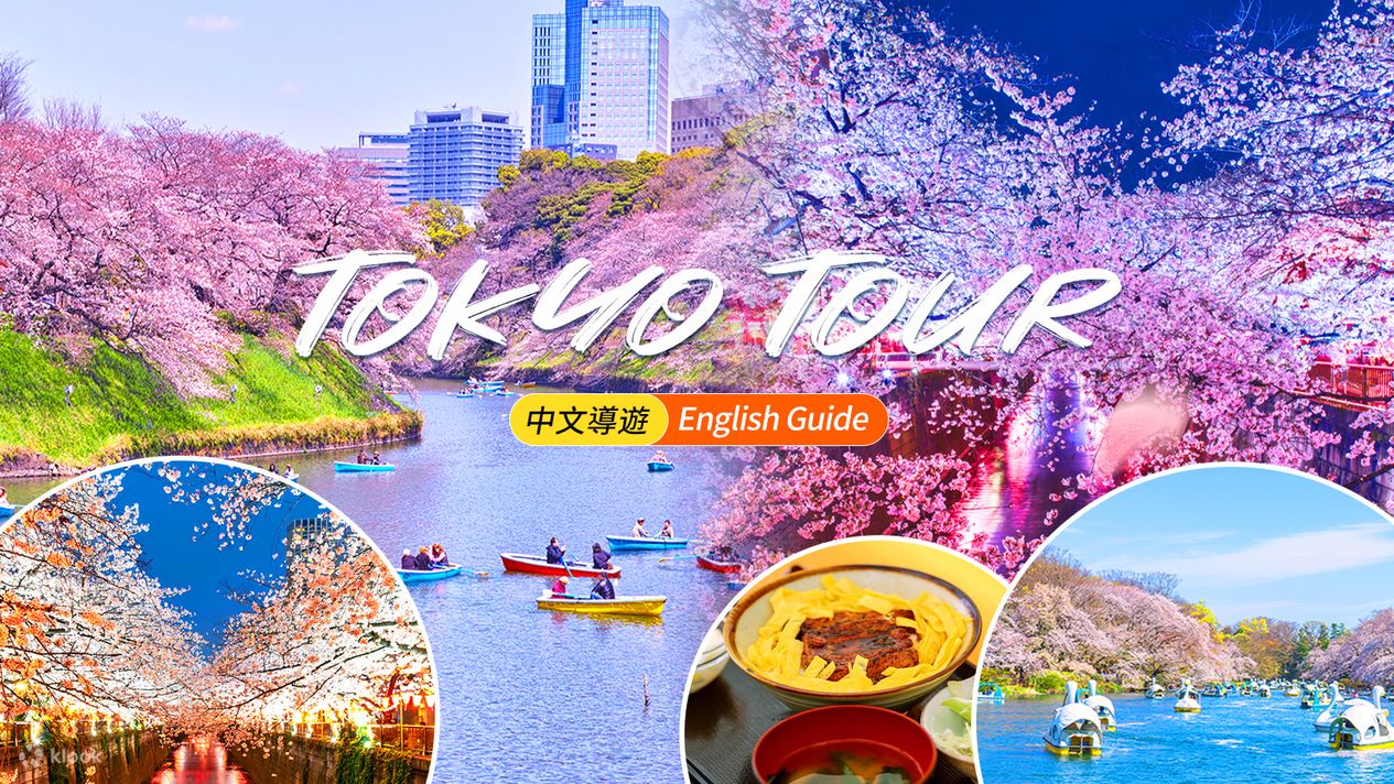 Cherry Blossom Season Exclusive - Night Cherry Blossoms・Tokyo Cherry ...