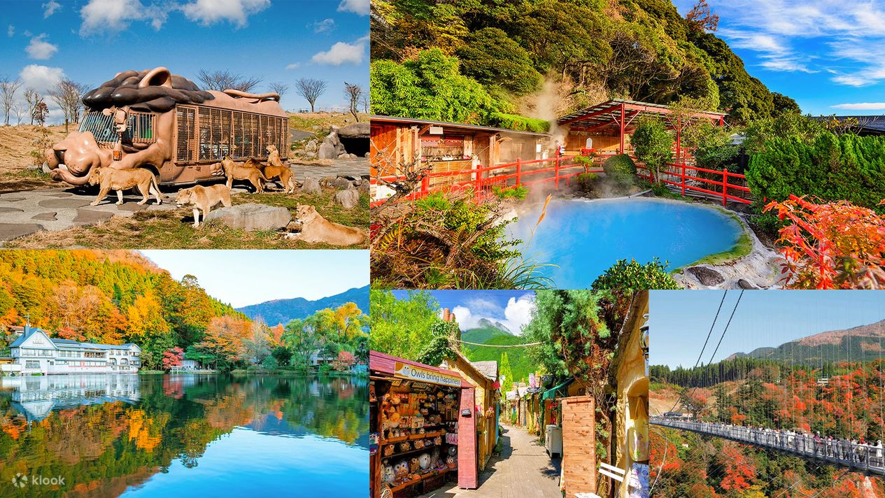 Oita chartered car one-day tour/multi-day tour (departing from Fukuoka ...