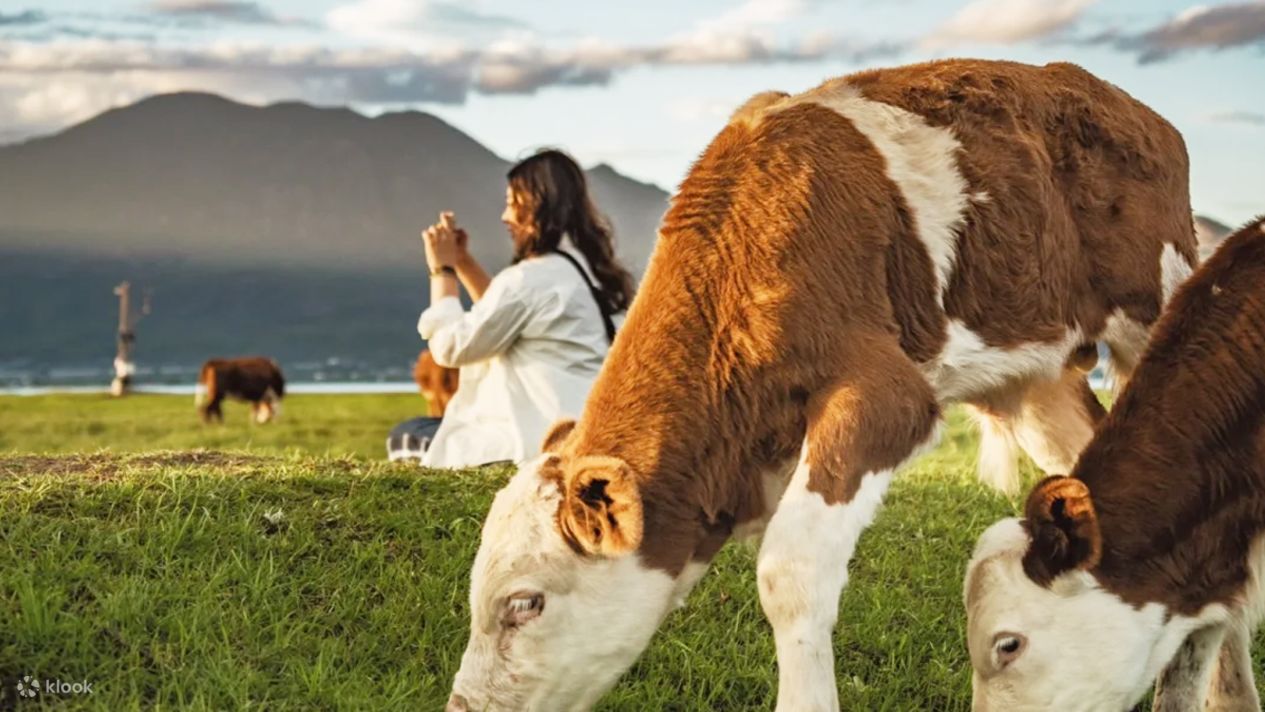 Yunnan Shangri-La 2 Days Lijiang Round Trip (Five Diamond Hotel ...