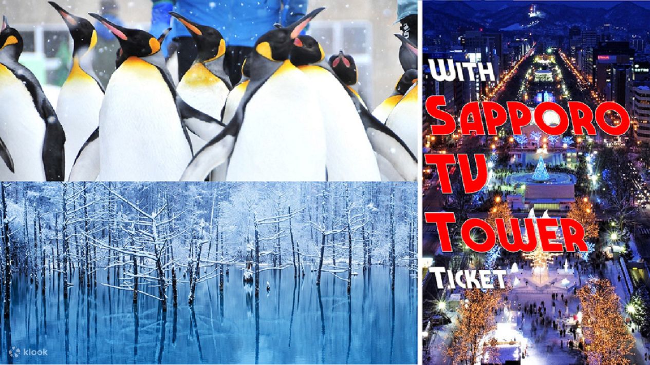 Winter Asahiyama Zoo, Shirohige Waterfall and Light up blue pond "Aoi ...