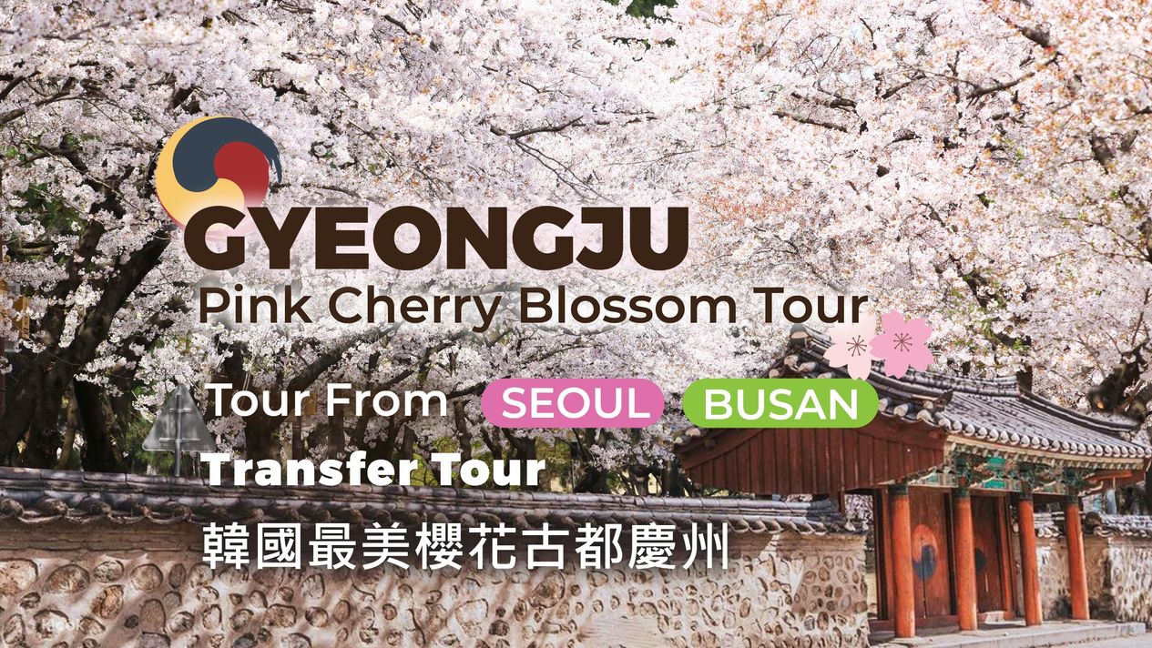 Gyeongju Cherry Blossom Tour from SEOUL / BUSAN - Klook