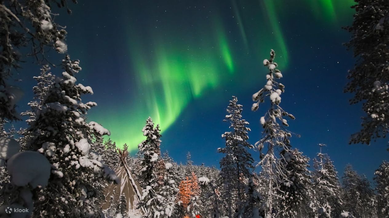 Aurora Borealis tour with Lappish picnic in Rovaniemi - Klook Philippines