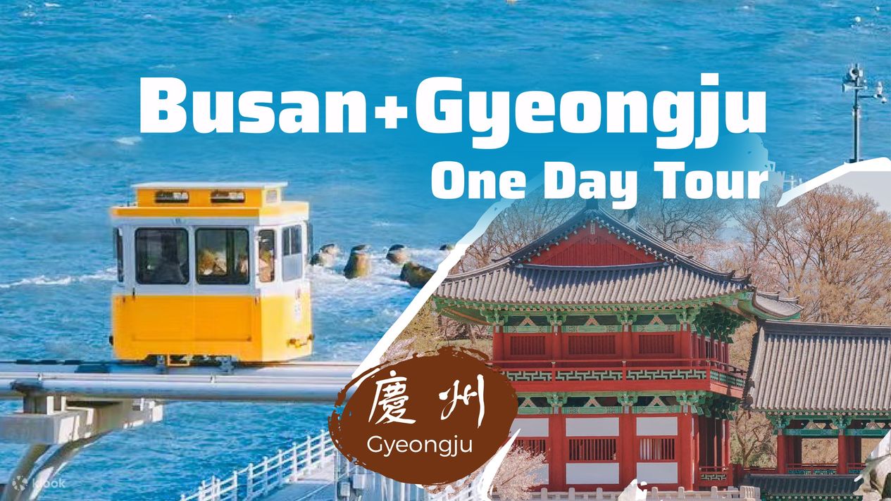 [Klook] Busan + Gyeongju One Day Tour from Busan - Klook