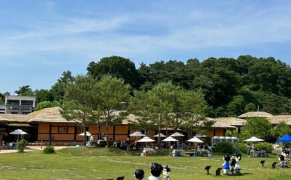 Kim Yujeong munhakchon: Everything You Need Before Visiting