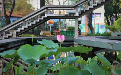 Turtle Lake: Everything You Need Before Visiting