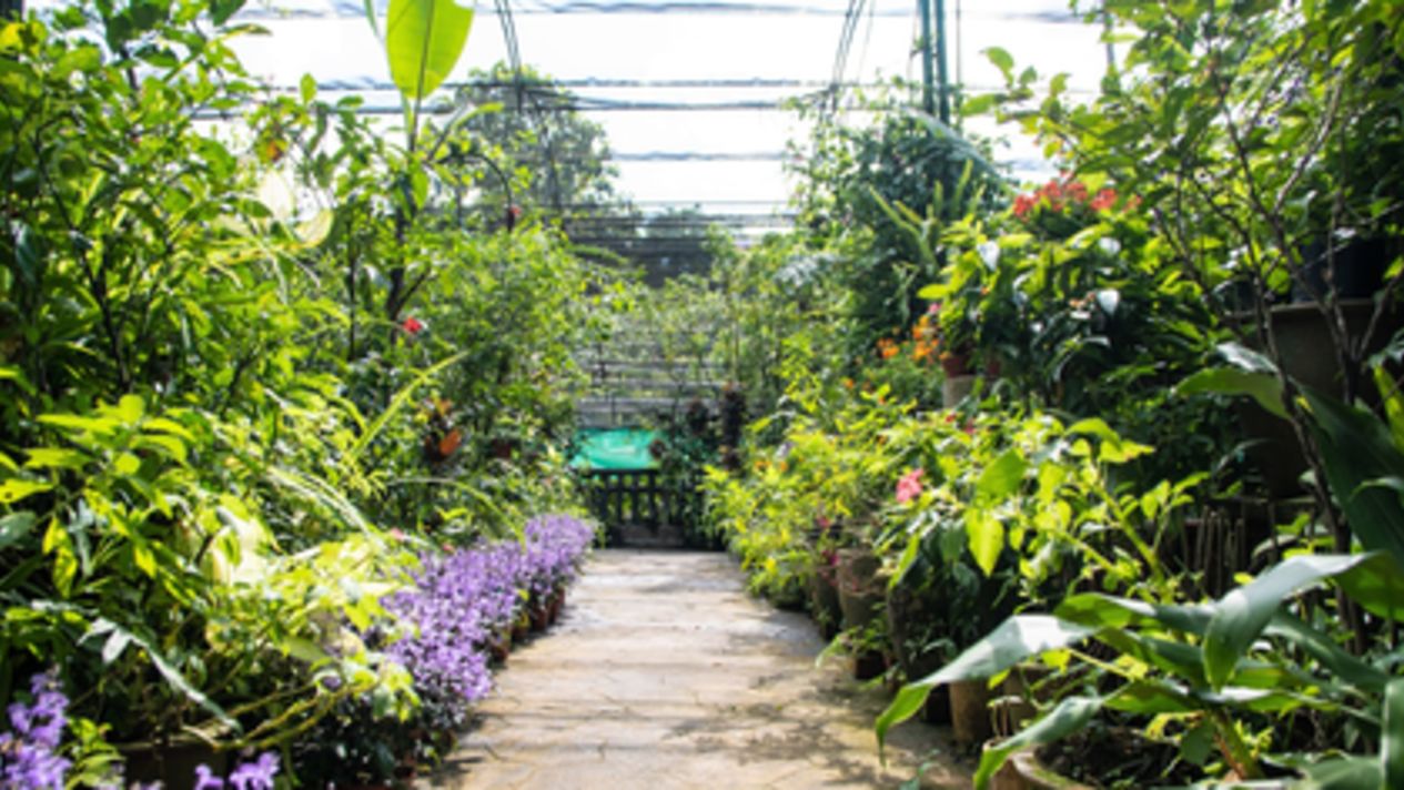 Tour terbaik di Taman Rusa Kuala Lumpur, MALAYSIA 2025