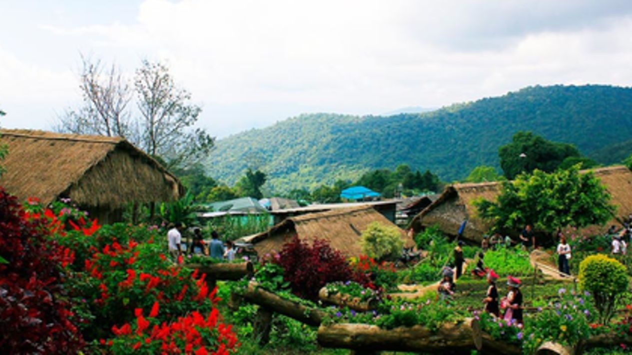 Hmong Doi Pui Village: Everything You Need Before Visiting