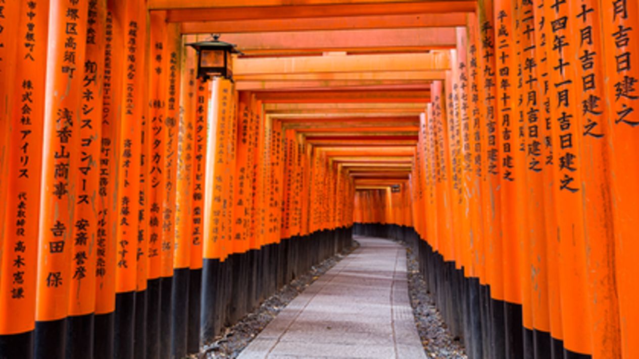 2024日本Fushimi Inari Taisha行程推荐