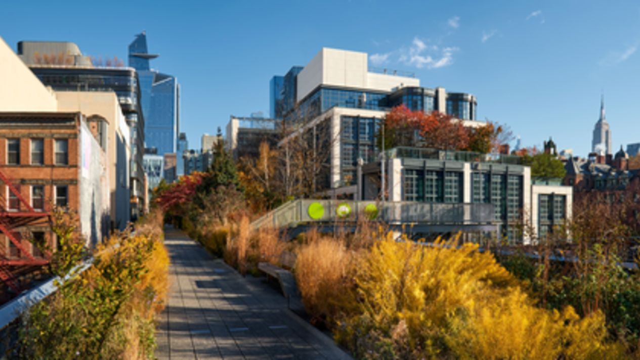 The High Line Park: Everything You Need Before Visiting