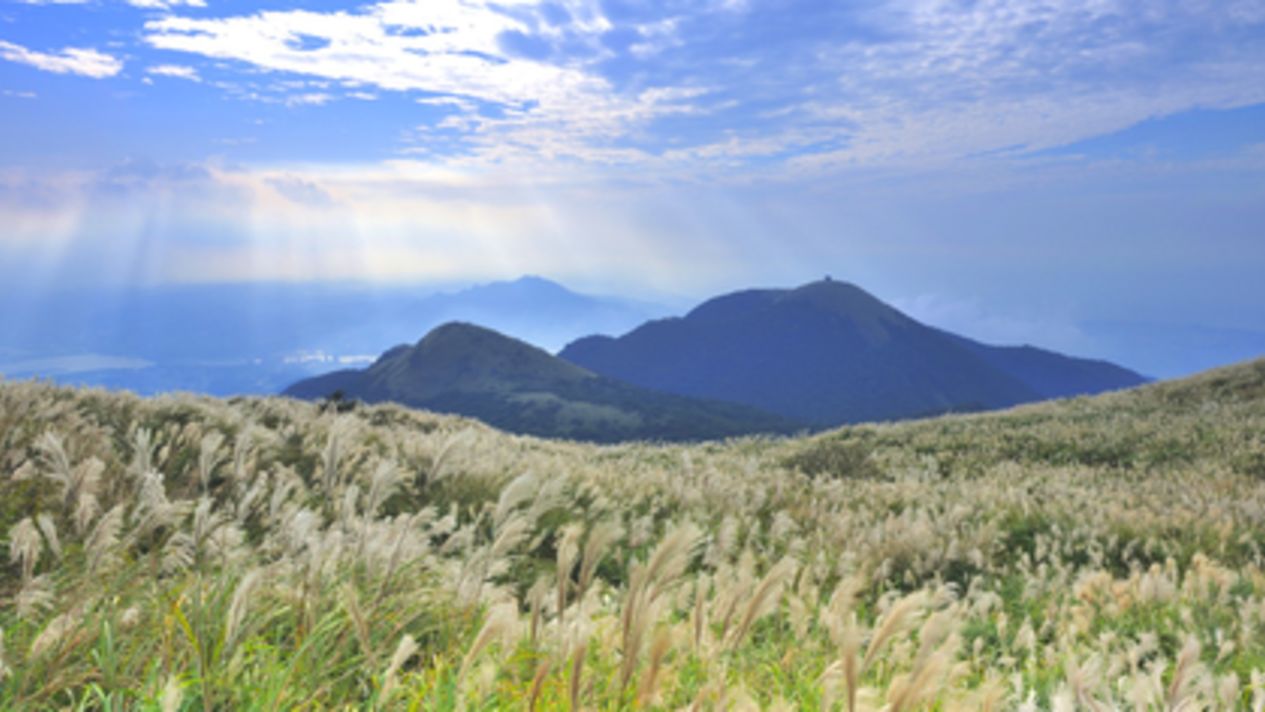 Yangmingshan National Park: Everything You Need Before Visiting