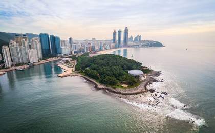 Best Dongbaek Island Tours, South Korea 2025
