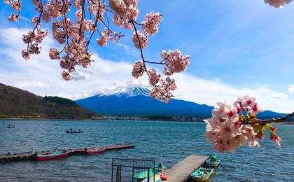 Lake Kawaguchi: Everything You Need Before Visiting