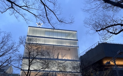 Omotesando: Everything You Need Before Visiting