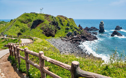 Seopjikoji: Everything You Need Before Visiting