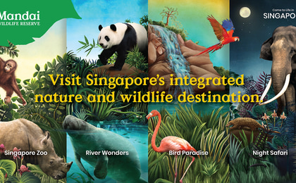 Mandai Wildlife Reserve: Everything You Need Before Visiting