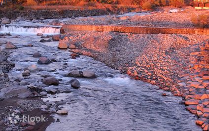 Iyakeio Bridge & Naruto Whirlpool One-day River & Nature Tour - Klook ...