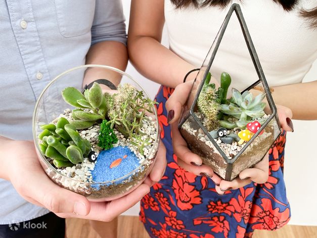 Terrarium Workshop in Singapore - Klook Singapore