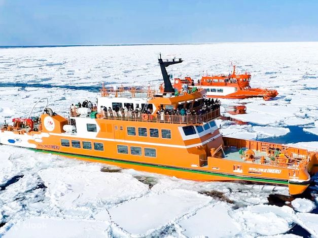 Asahiyama Zoo, the Frozen Ice Sea and Sunset Cruise Day Trip from ...