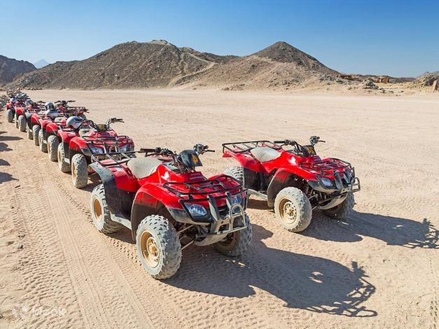 Camel & Dinner and Folklore show at Sharm el sheikh - Klook Philippines