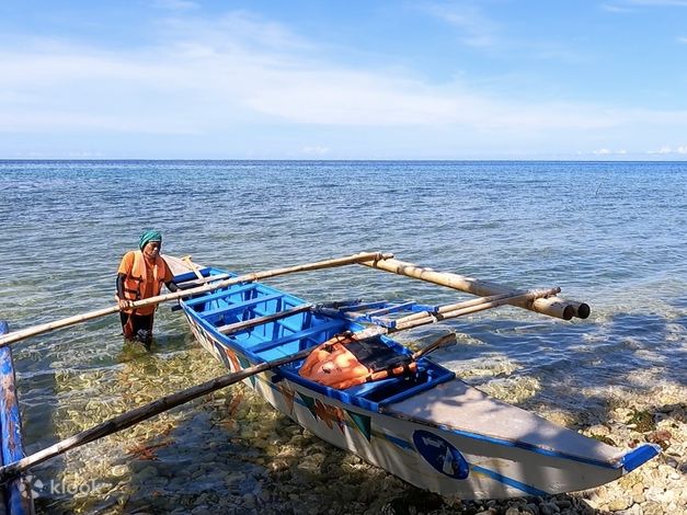 Bohol Whale Shark Interaction Tour - Klook Philippines