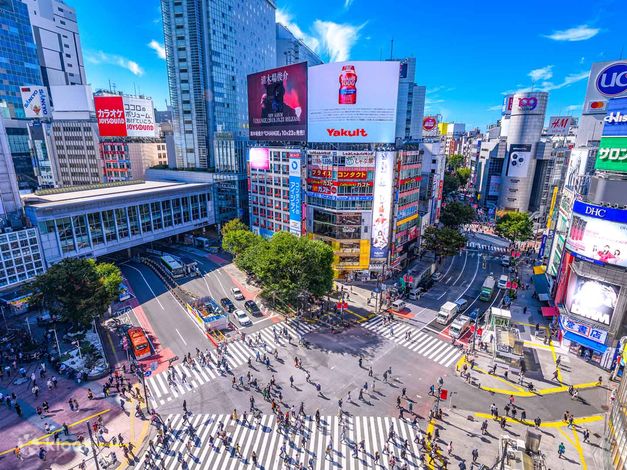 [Tour cổ điển Tokyo một ngày] Đền Meiji Jingu + Harajuku + Shibuya + Đền Sensoji + Đài quan sát ...