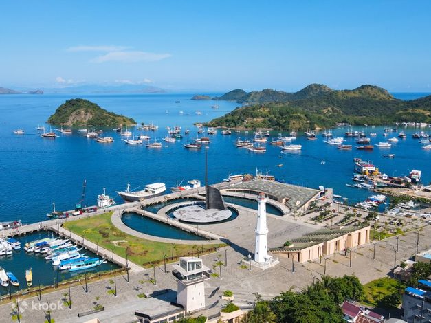 Komodo Fun Dive or Scuba Diving Experience in Labuan Bajo - Klook India