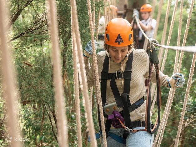 Tree Ropes Course And Net World Experience in Central Coast - Klook