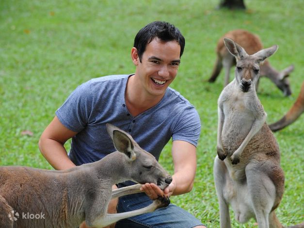 Australia Zoo Transfer and Entry Adventure - Klook New Zealand